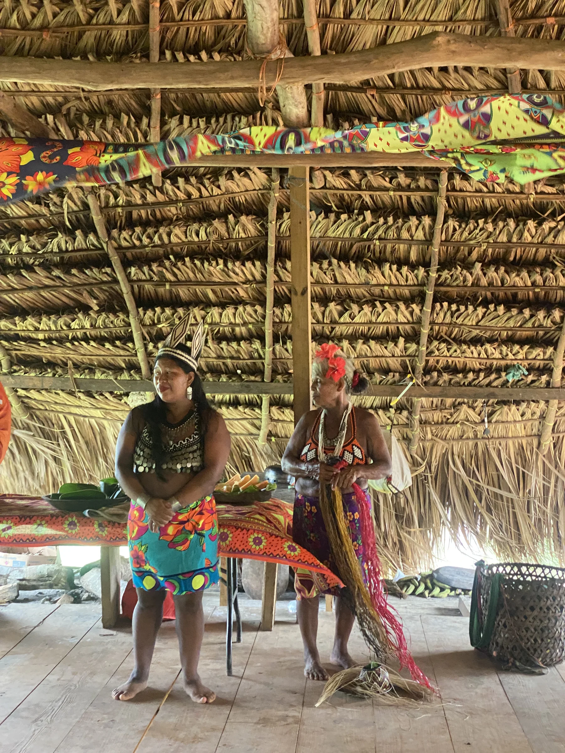 One day visiting the Embera Community - Blue Skies